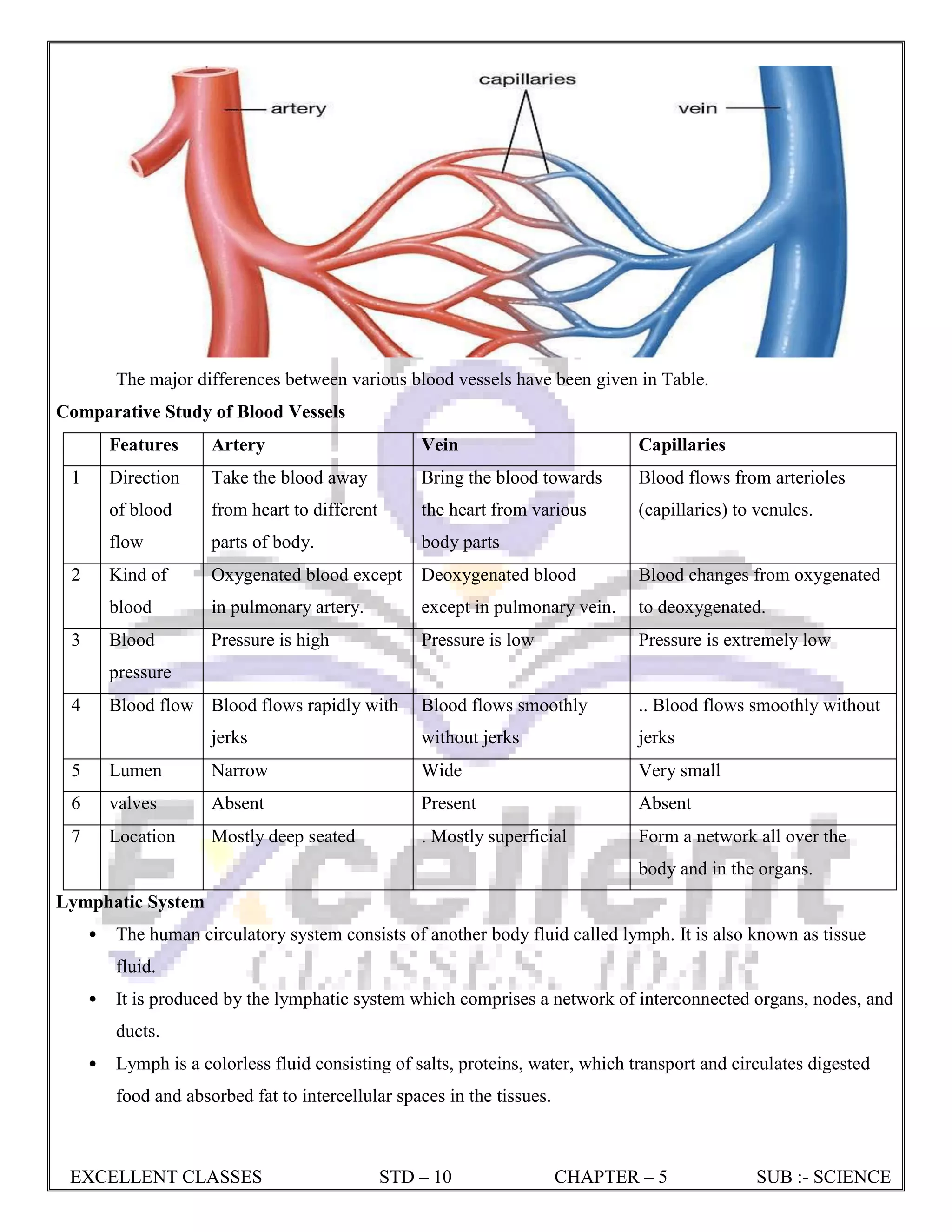 CLASS 10 CH 5 Human Circulatory & Excretory System NOTES EX.pdf