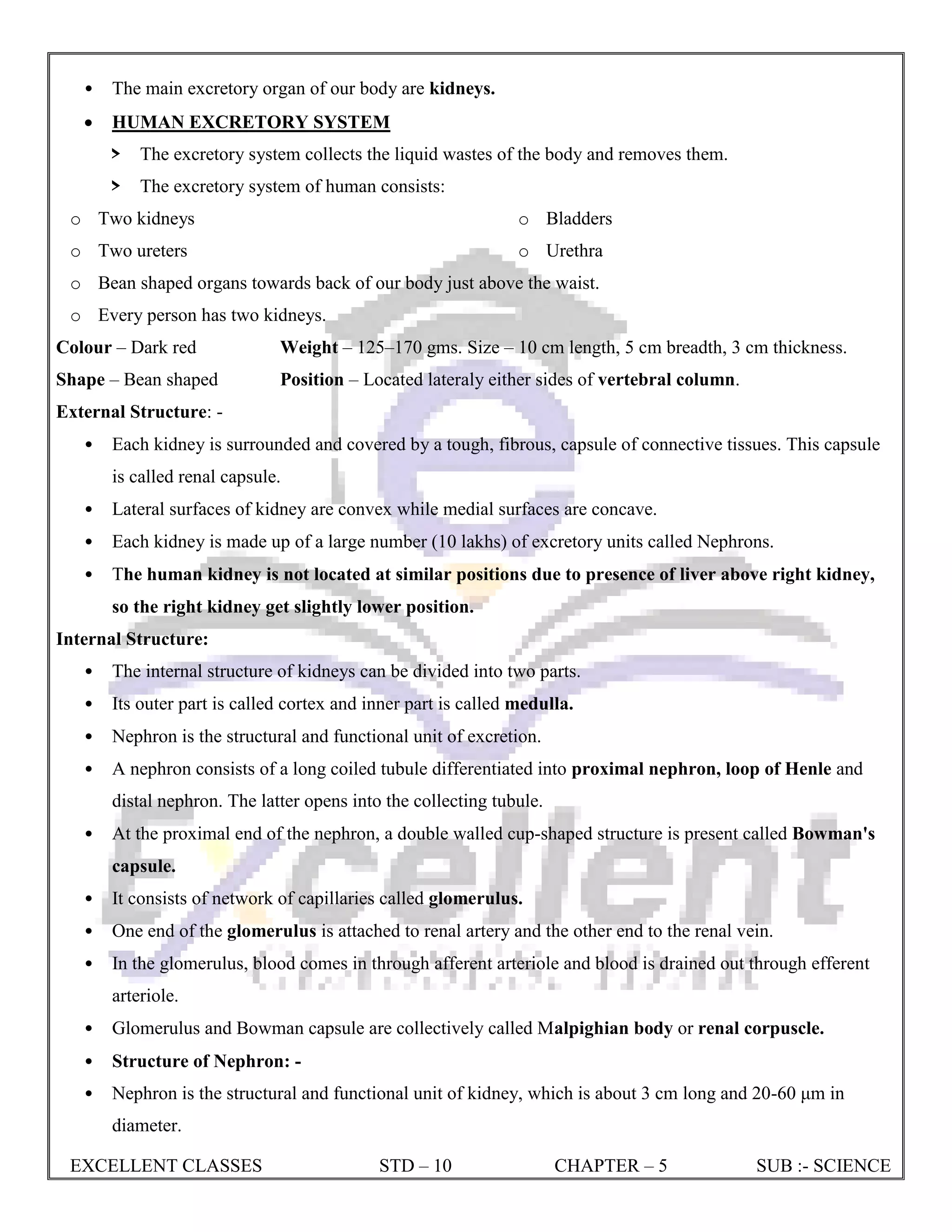 CLASS 10 CH 5 Human Circulatory & Excretory System NOTES EX.pdf