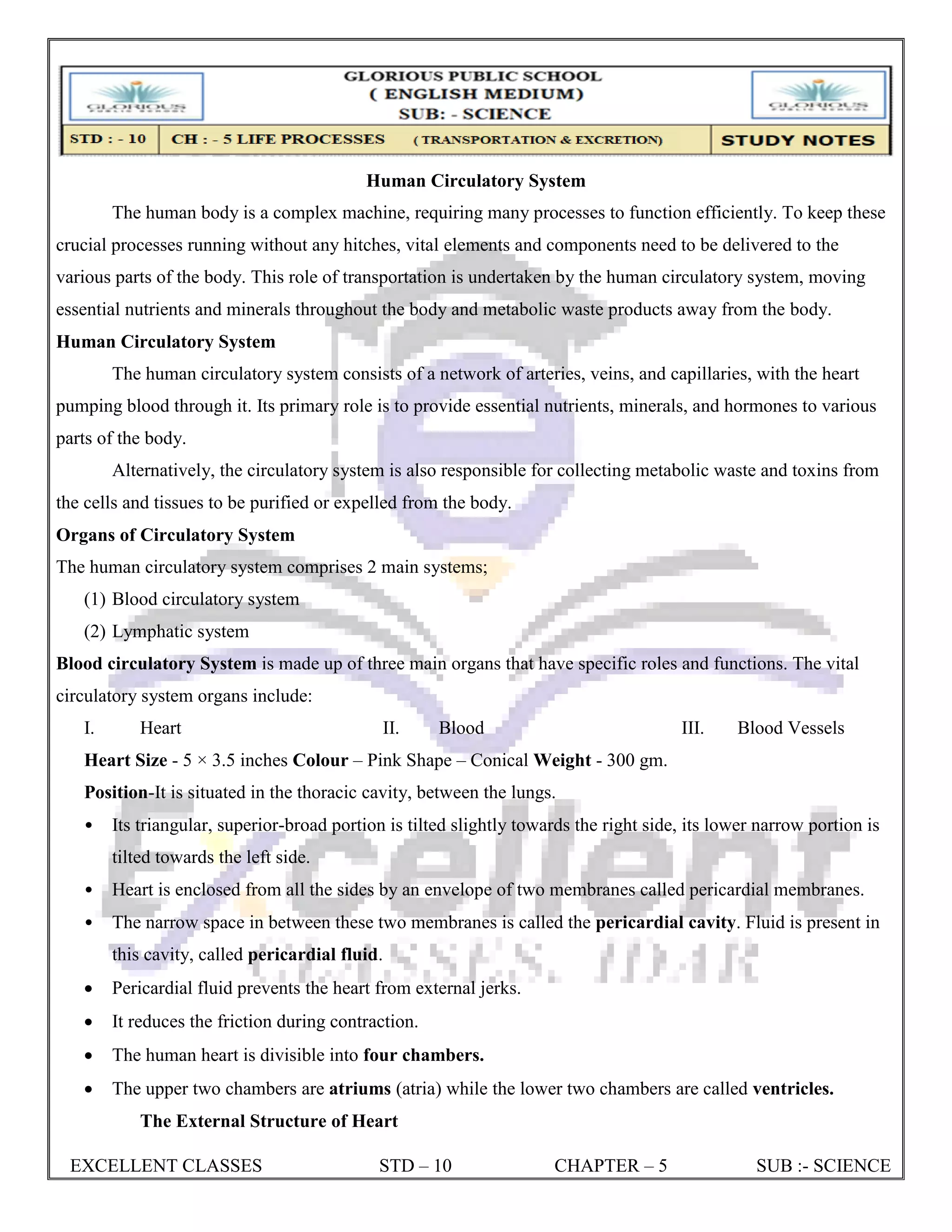 Class 10 Ch 5 Human Circulatory And Excretory System Notes Ex Pdf