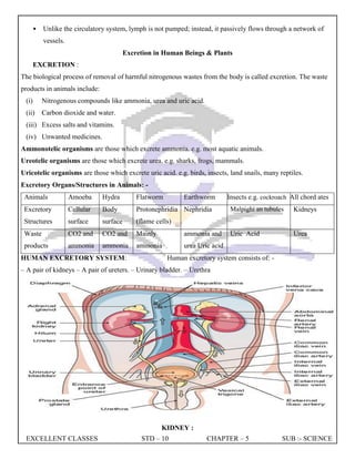 CLASS 10 CH 5 Human Circulatory & Excretory System NOTES EX.pdf