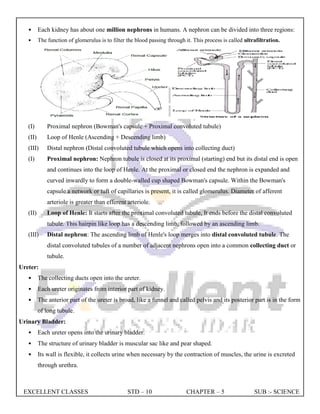 CLASS 10 CH 5 Human Circulatory & Excretory System NOTES EX.pdf