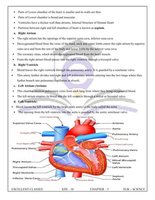 CLASS 10 CH 5 Human Circulatory & Excretory System NOTES EX.pdf