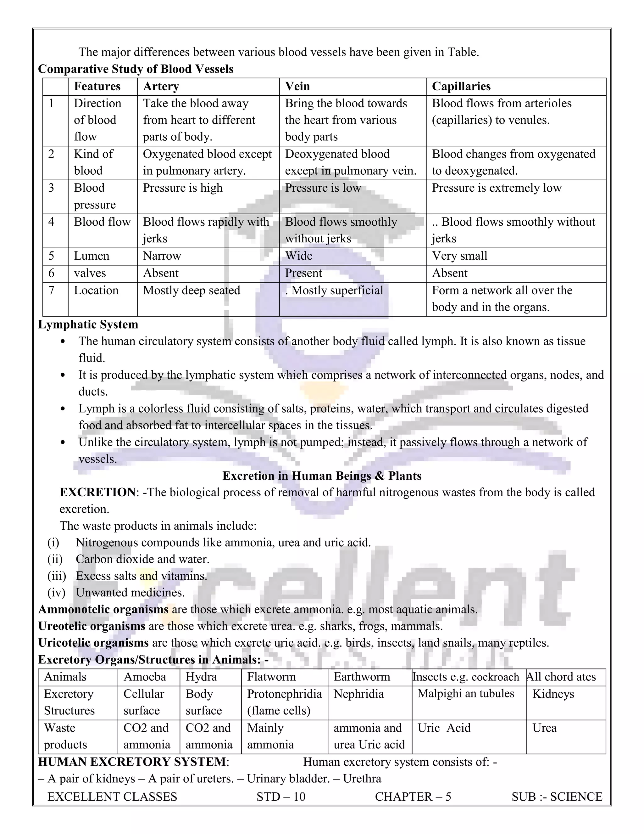 CLASS 10 CH 5 LIFE PROCESSES NOTES EX.pdf