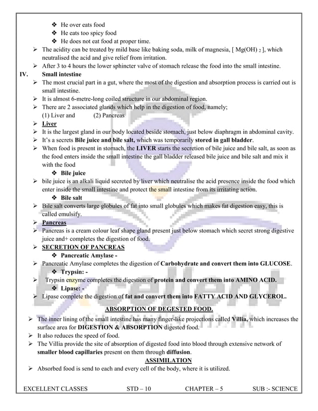 CLASS 10 CH 5 LIFE PROCESSES NOTES EX.pdf