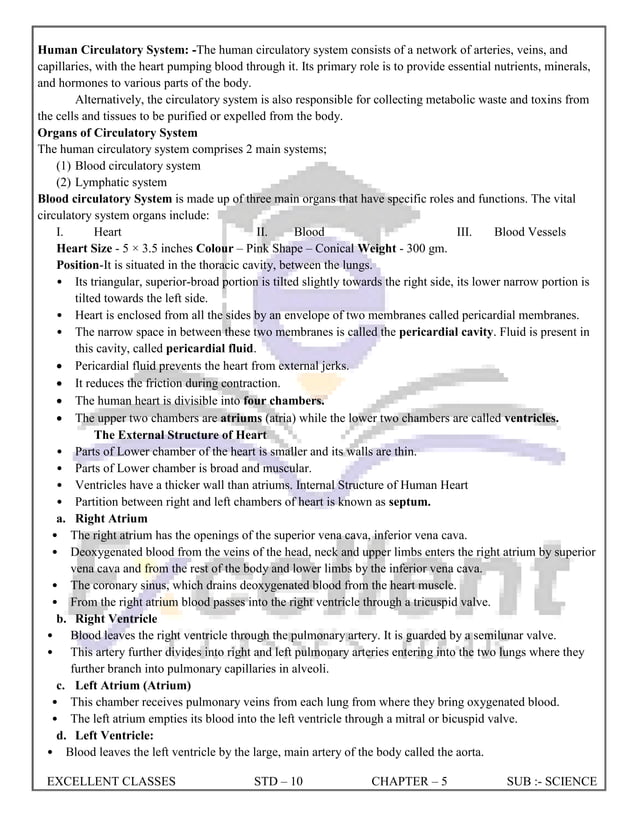 CLASS 10 CH 5 LIFE PROCESSES NOTES EX.pdf