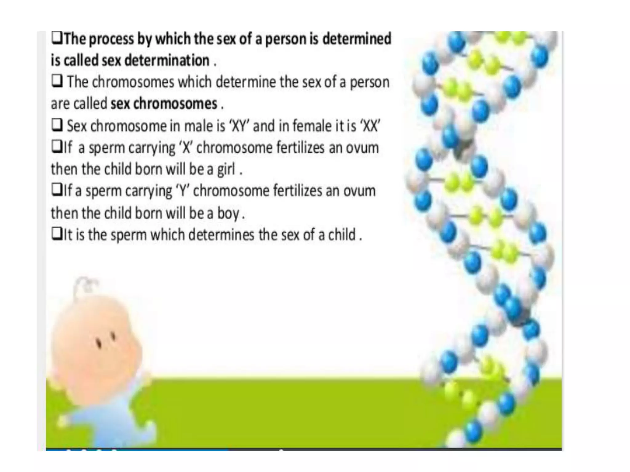 Class10 hereditary and evolution 13 slides | PPTX