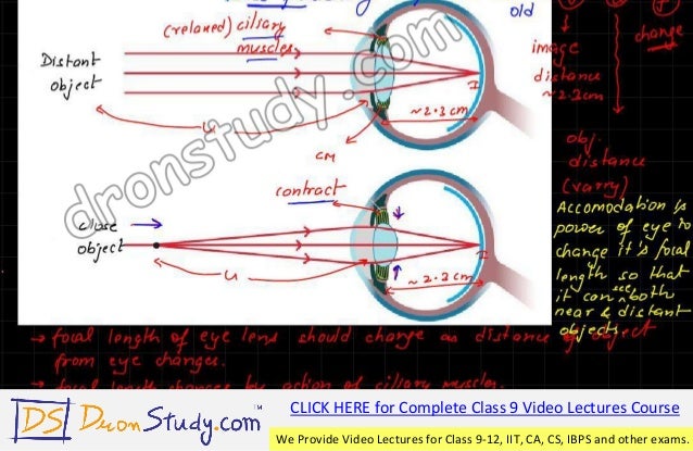 The Human Eye and The Colorful World : CBSE Class 10 X Science (Physi…