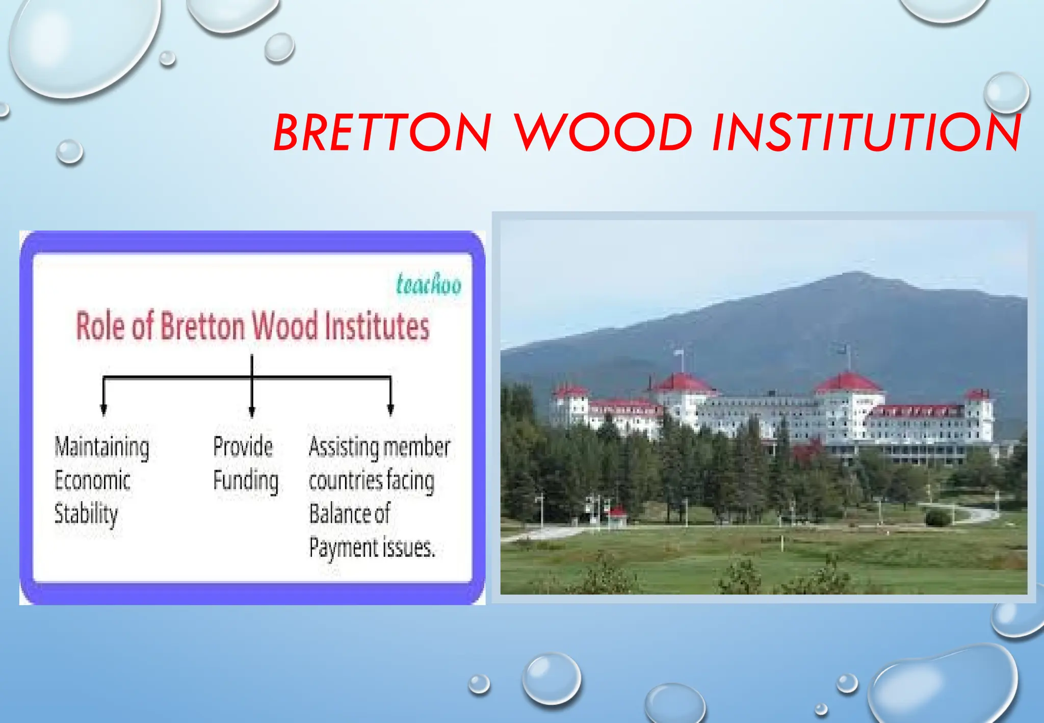 Class 10 Interdisciplinary Project.pptx