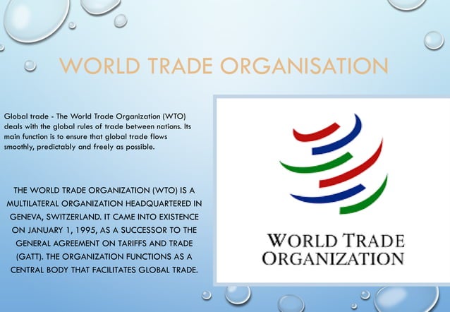 Class 10 Interdisciplinary Project.pptx