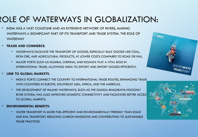 Class 10 Interdisciplinary Project.pptx