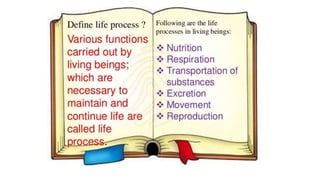 Class 10 Life processes | PPTX