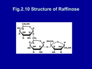 Class 10 Oligosaccharides &Polysaccharides.ppt