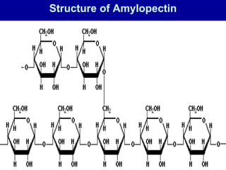 Class 10 Oligosaccharides &Polysaccharides.ppt