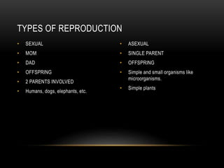 Class 10 reprdn | PPT