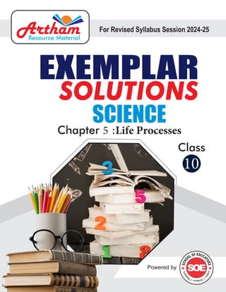 Class X Science Notes Chapter 5 Life Processes | PDF