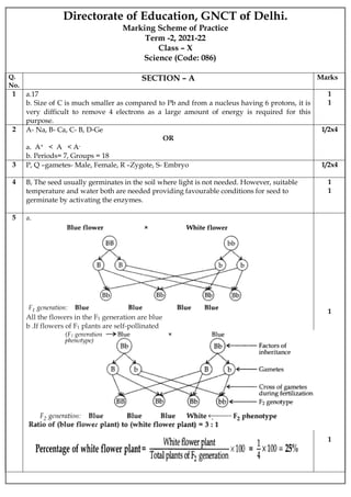 Class10ScienceSolutionsVP -1.pdf