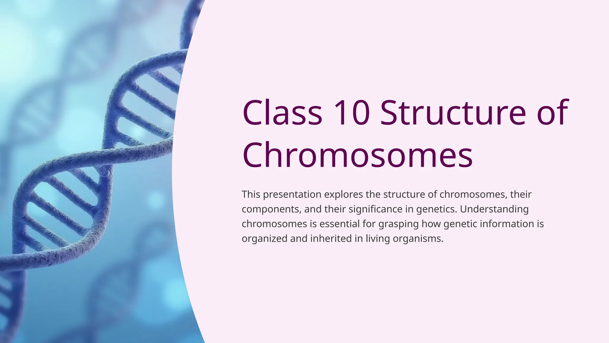 Class 10 Structure of Chromosomes for Teaching | PPTX