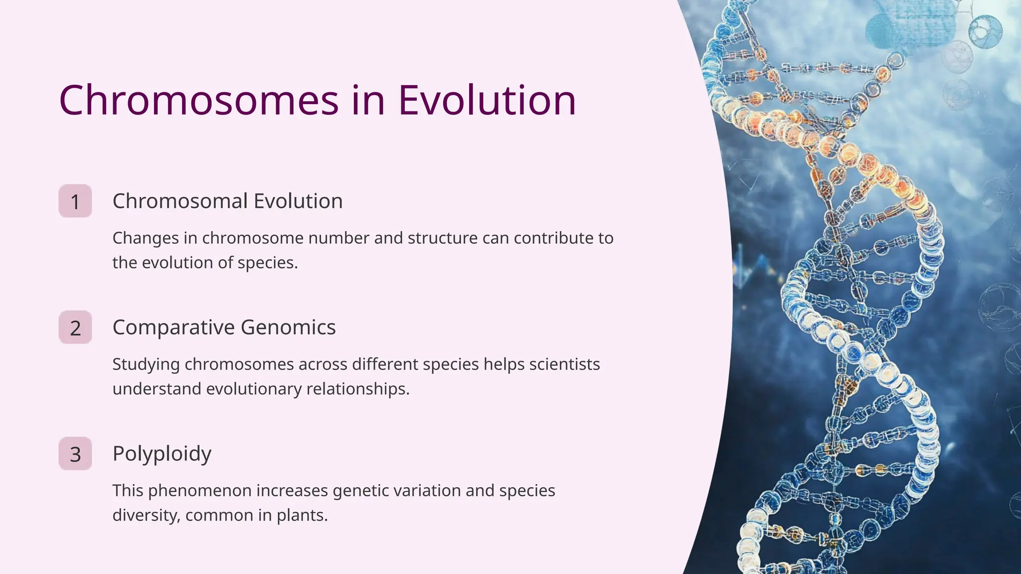 Class 10 Structure of Chromosomes for Teaching | PPTX
