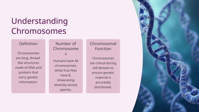 Class 10 Structure of Chromosomes for Teaching | PPTX