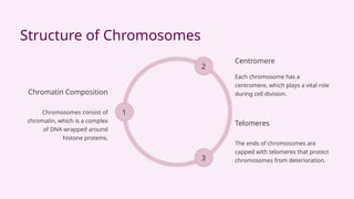 Class 10 Structure of Chromosomes for Teaching | PPTX