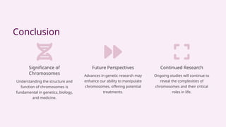 Class 10 Structure of Chromosomes for Teaching | PPTX