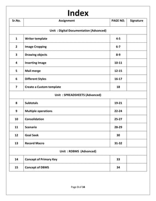 CLASS 10 IT PRACTICAL FILE.pdf