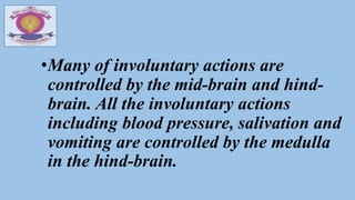 Class 10th Chapter 7 CONTROL AND COORDINATION.pptx