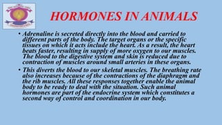 Class 10th Chapter 7 CONTROL AND COORDINATION.pptx