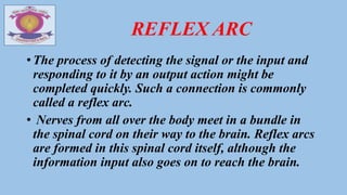 Class 10th Chapter 7 CONTROL AND COORDINATION.pptx