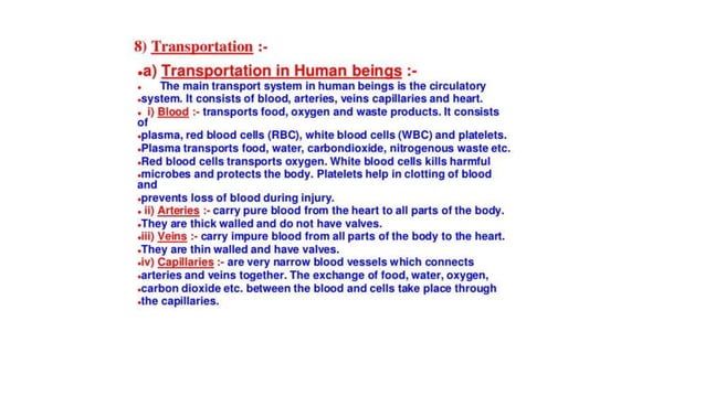 Class 10 Transportation | PPTX