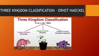 CLASS 11. 2. BIOLOGICAL CLASSIFICATION.pptx