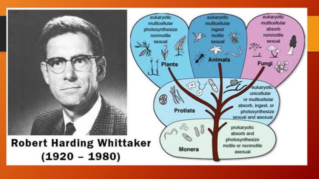 CLASS 11. 2. BIOLOGICAL CLASSIFICATION.pptx | Biological Sciences | Science