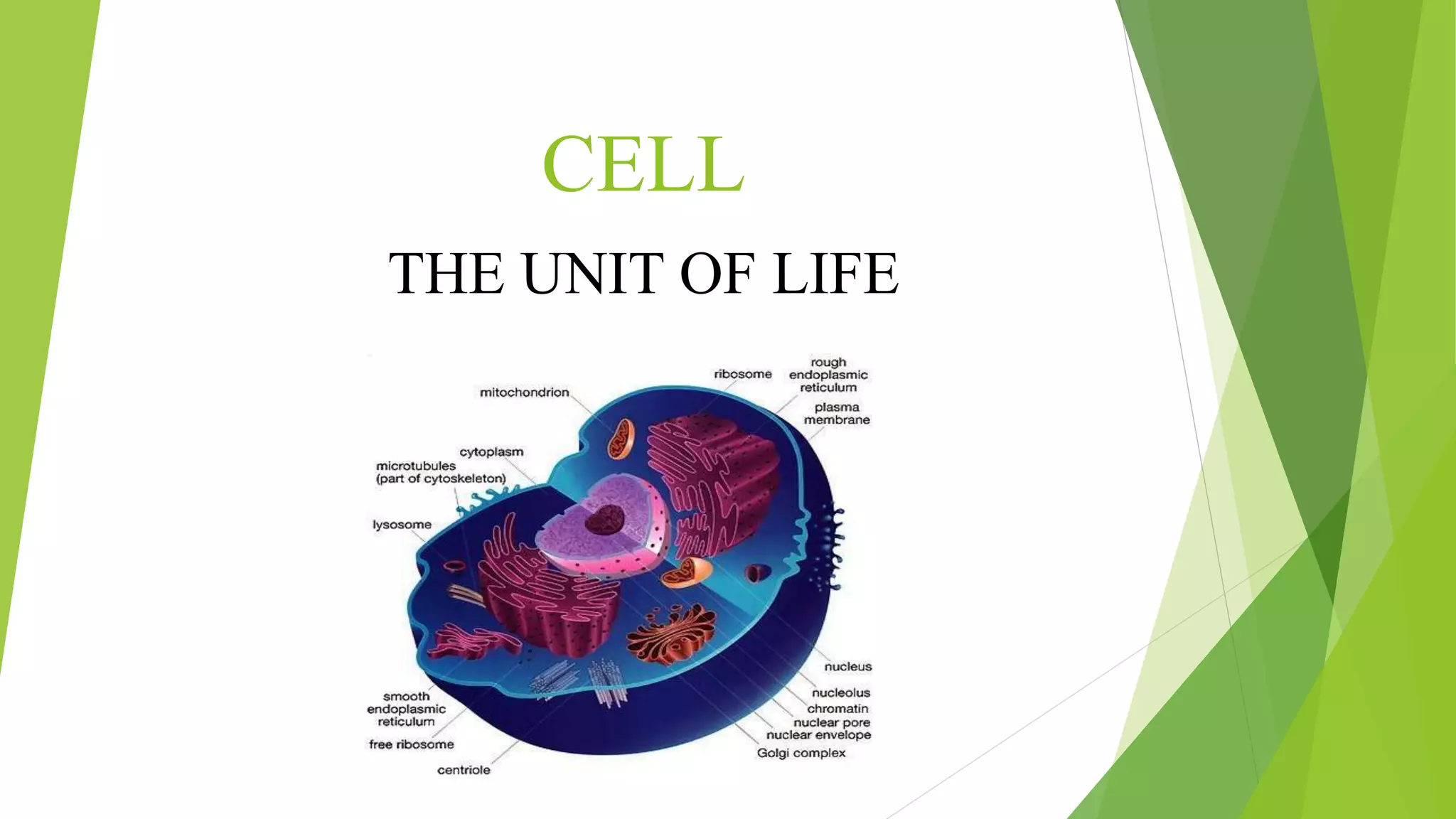 Cell- the unit of life (Introduction) | PPT