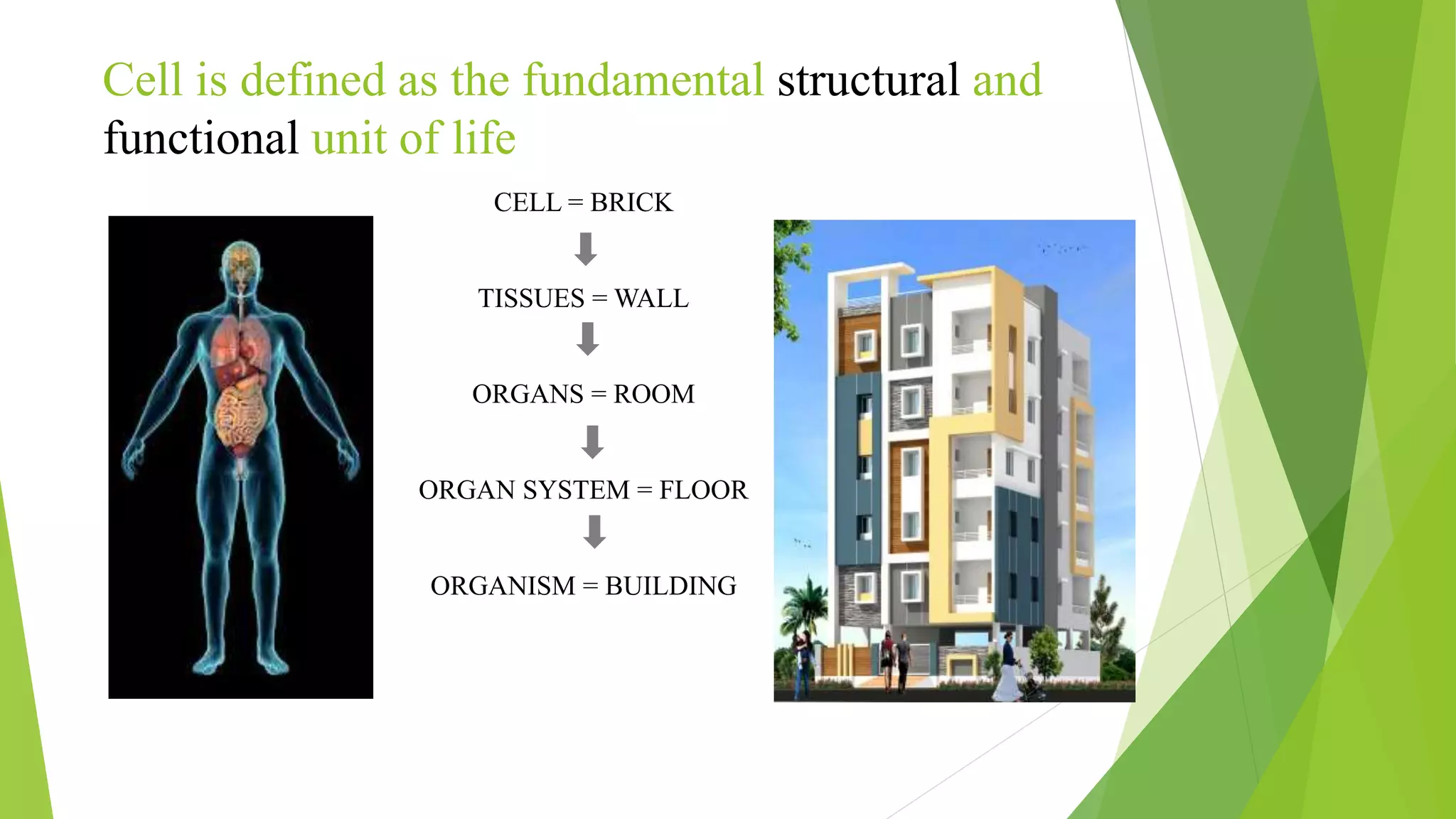 Cell- the unit of life (Introduction) | PPTX