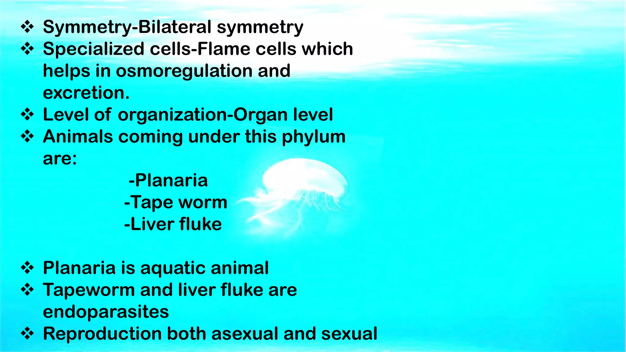 Class11 Biology Animal Kingdom Session 5 | PDF