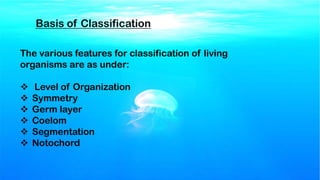 Class11 Biology Animal Kingdom Session 6 | PDF