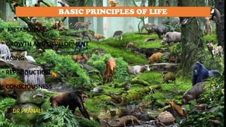 CLASS 11 BIOLOGY CHAPTER 1 LIVING WORLD PPT ....pptx