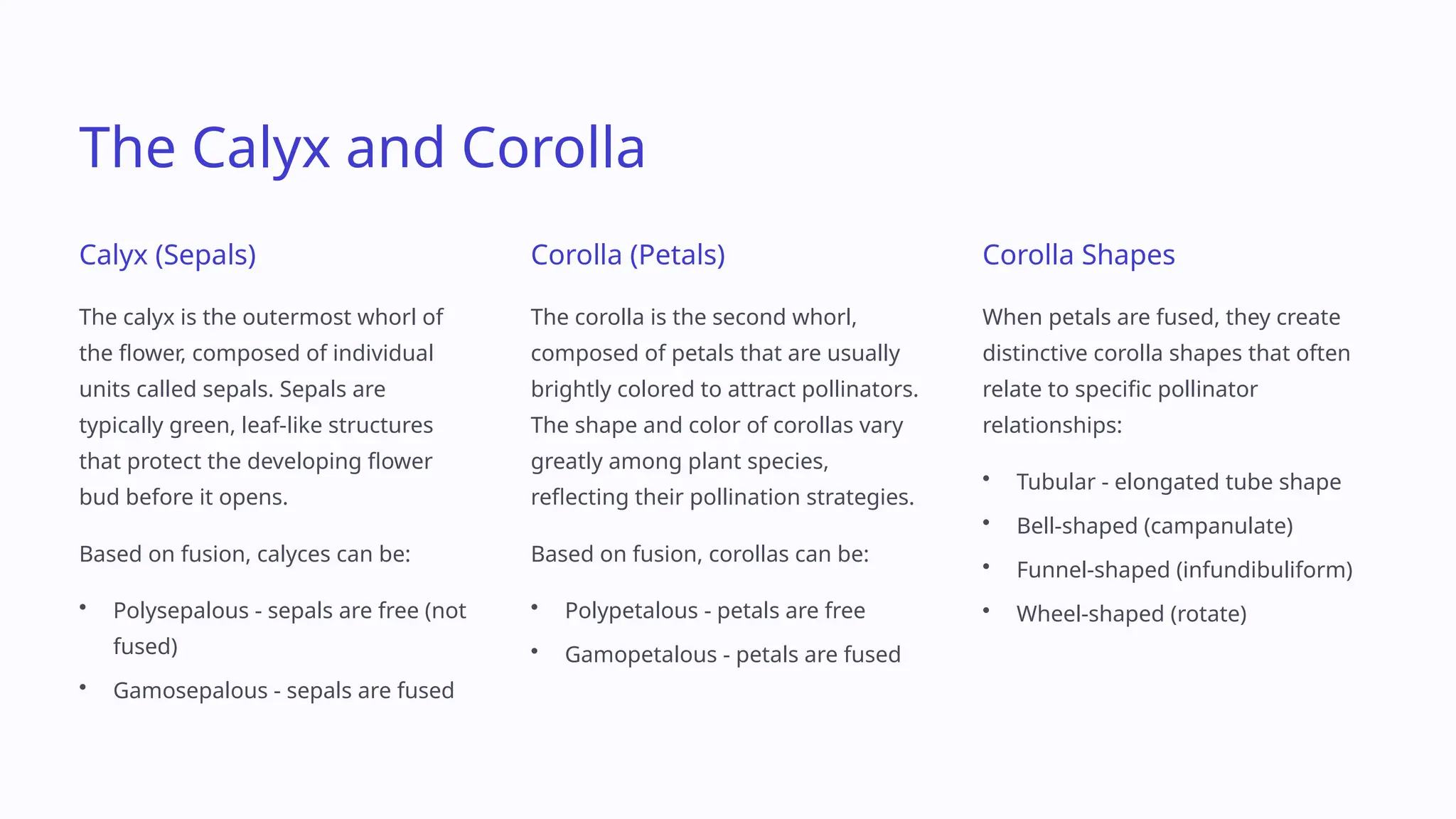 Class_11_Biology_PPT_Chapter_5_Morphology_of_Flowering_Plants.pptx