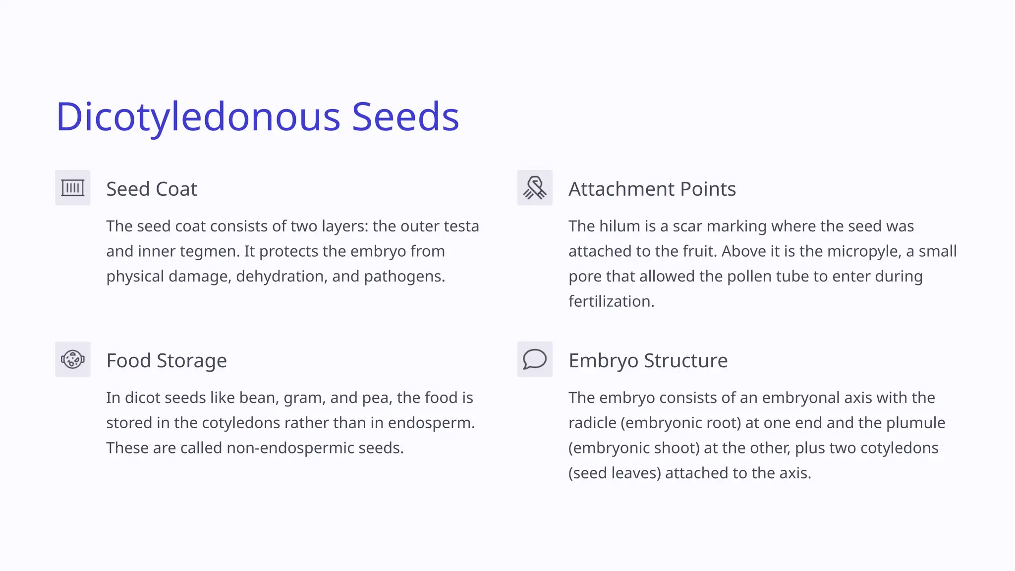 Class_11_Biology_PPT_Chapter_5_Morphology_of_Flowering_Plants.pptx