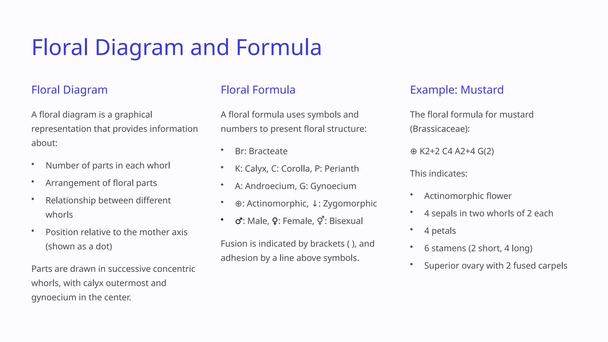 Class_11_Biology_PPT_Chapter_5_Morphology_of_Flowering_Plants.pptx