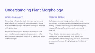 Class_11_Biology_PPT_Chapter_5_Morphology_of_Flowering_Plants.pptx