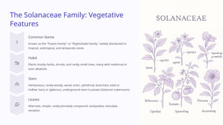 Class_11_Biology_PPT_Chapter_5_Morphology_of_Flowering_Plants.pptx