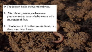 Class 11 Biology Structural Organisation in Animals (3) | PDF