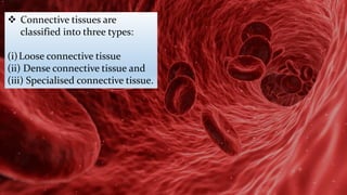Class 11 Biology Structural Organisation in Animals (4) | PDF