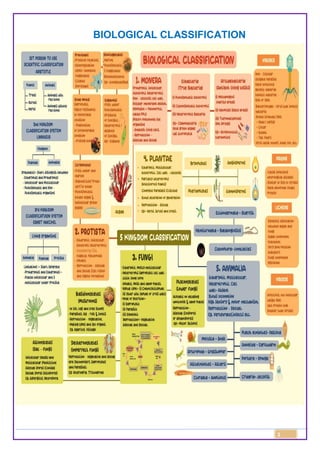 Class 11 Biology Topic Wise Line by Line Chapter 2 Biological ...