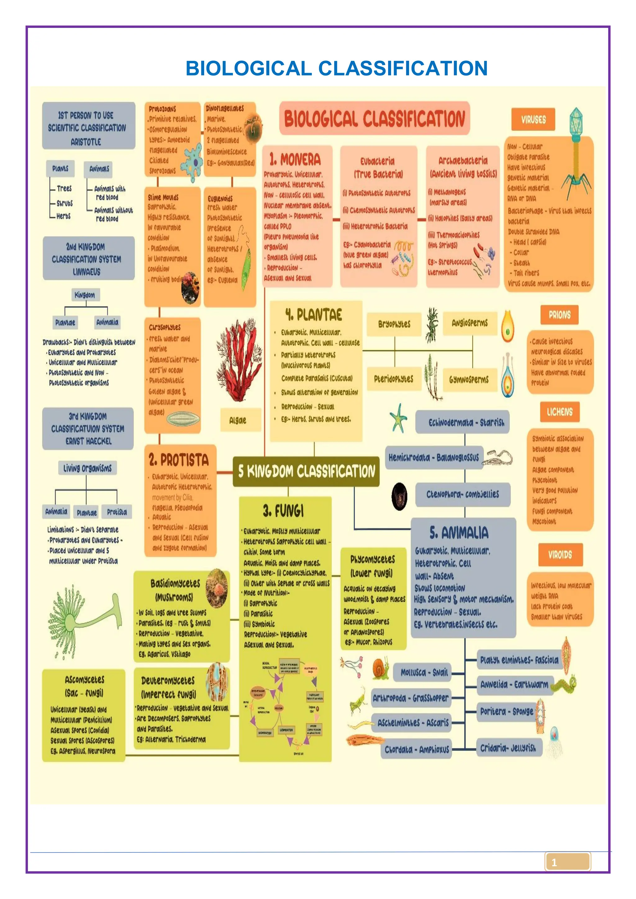 Class 11 Biology Topic Wise Line by Line Questions Chapter 2 Biological Classification | PDF
