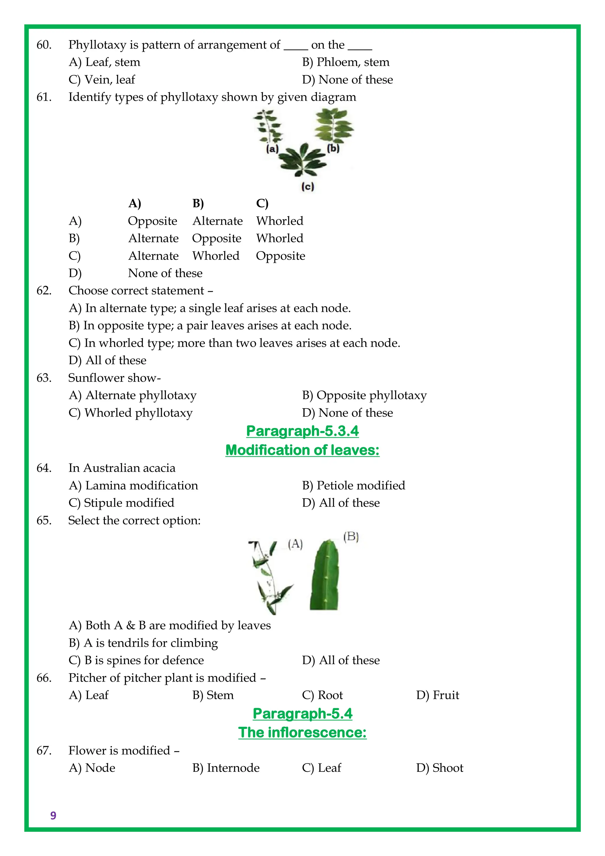 Class 11 Biology Topic Wise Line by Line Chapter 5 Morphology of ...