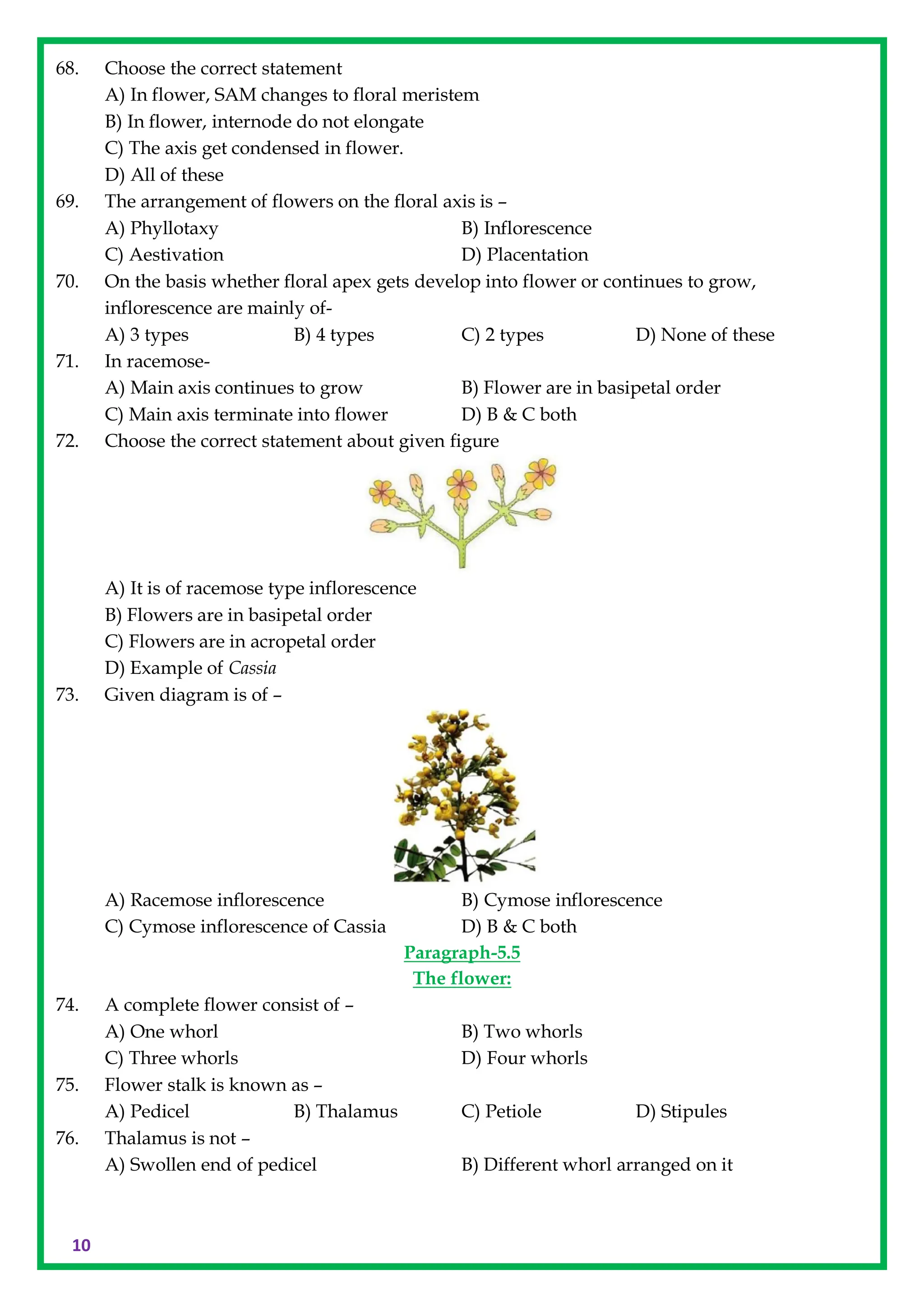 Class 11 Biology Topic Wise Line by Line Chapter 5 Morphology of ...