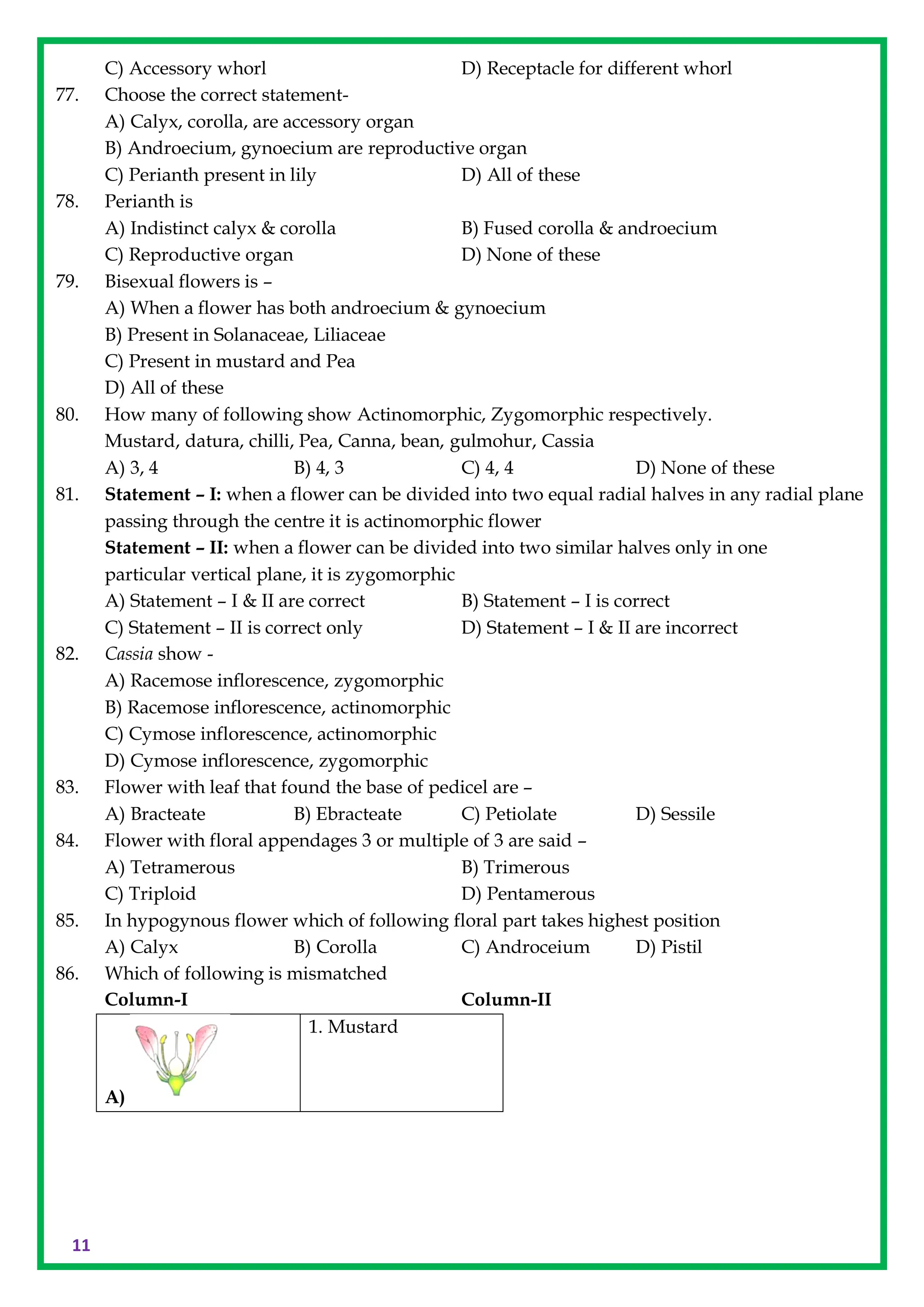 Class 11 Biology Topic Wise Line by Line Chapter 5 Morphology of ...