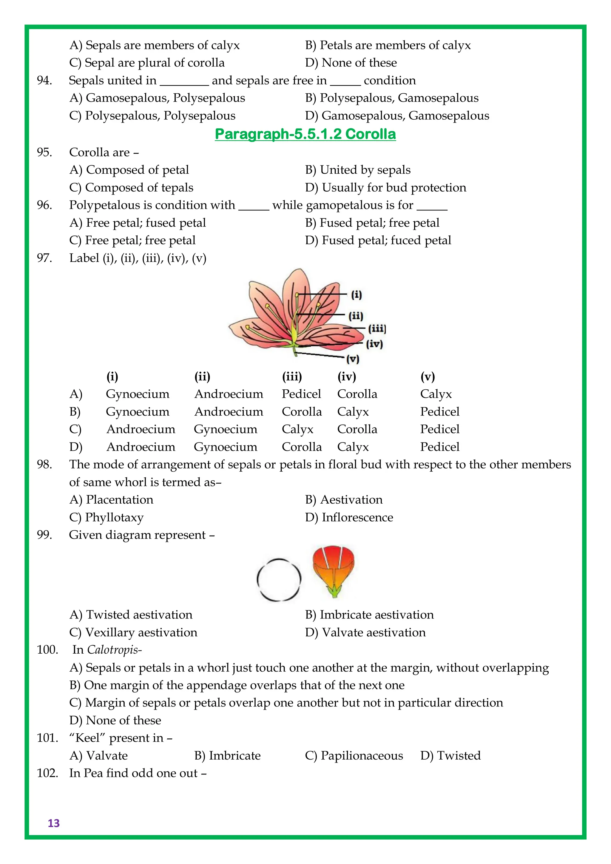 Class 11 Biology Topic Wise Line by Line Chapter 5 Morphology of ...